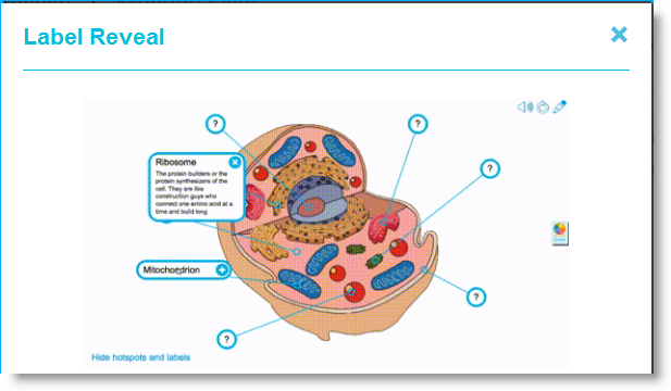 Use Label Reveal for lesson pacing - SMART Notebook 16